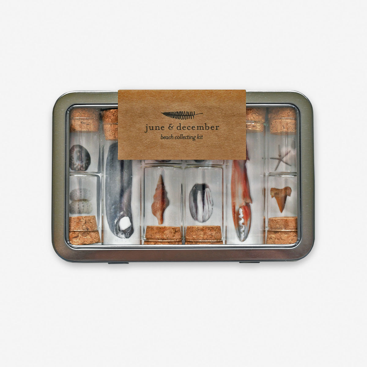 Beach Collecting Kit | Sand, Seashell, Rock + Driftwood Kit – June ...