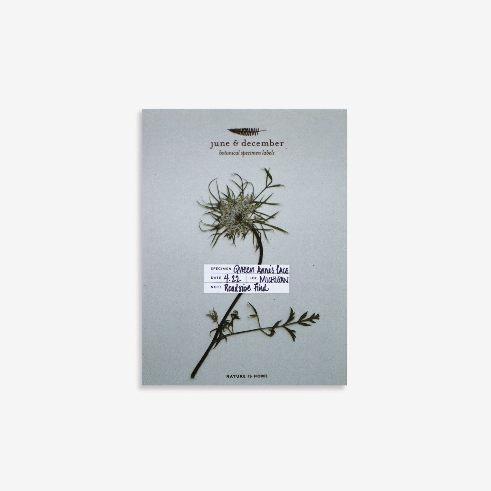 Flower Presses | Reusable Floral Press for Pressing Flowers – June ...