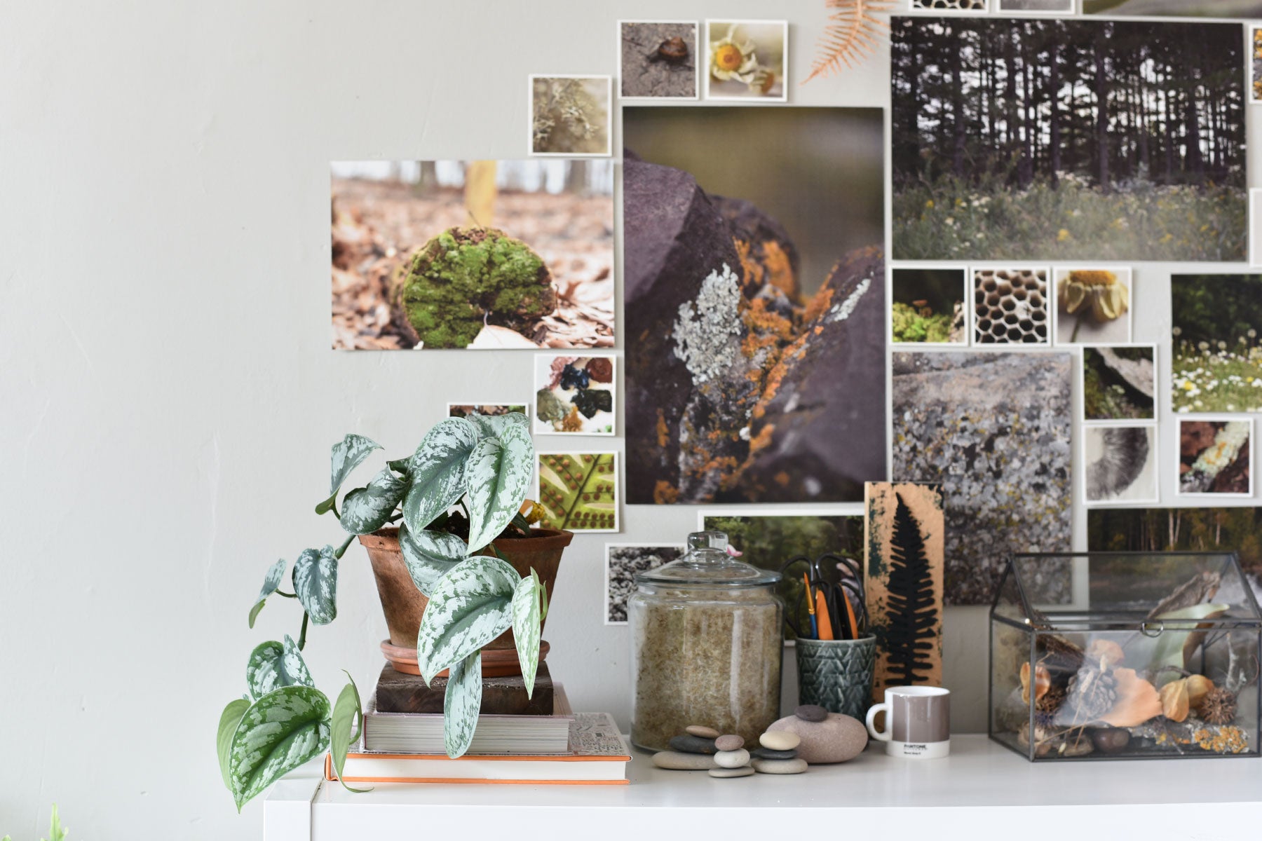 About Us – June & December