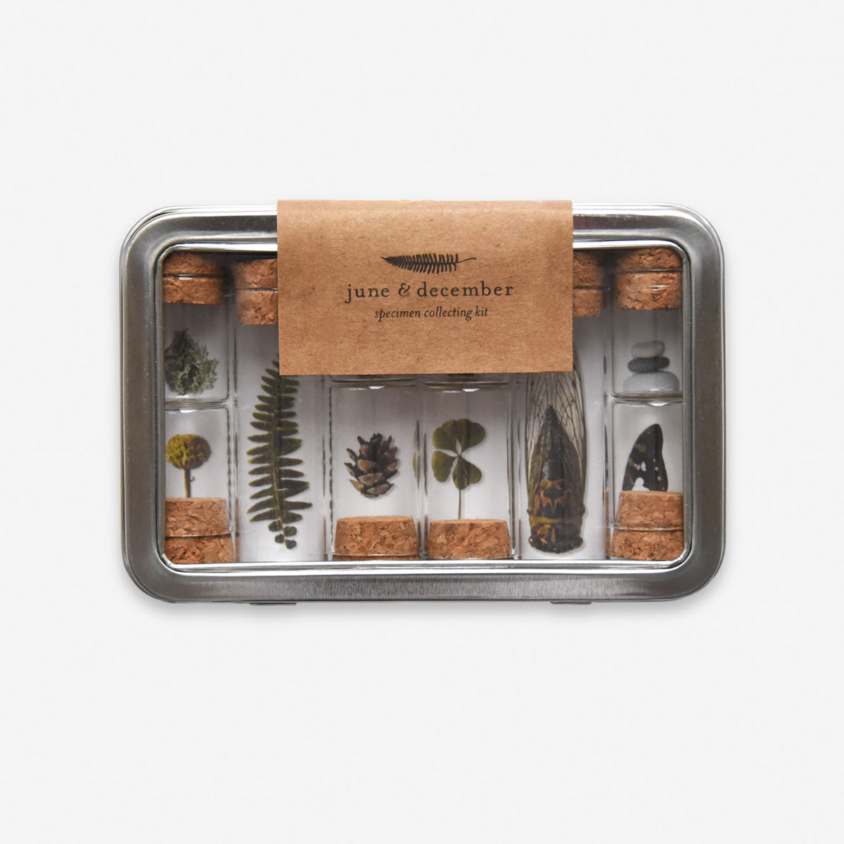 Specimen Collecting Kit | Bug, Rock, Nature, and Forest Kit – June ...