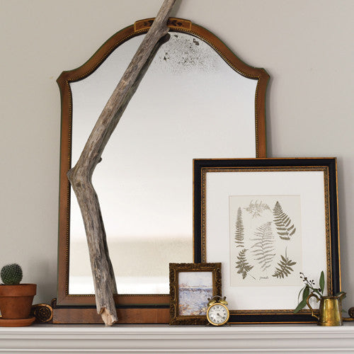 Fronds Art Print | Botanical Fern Art Print 8x10 – June & December