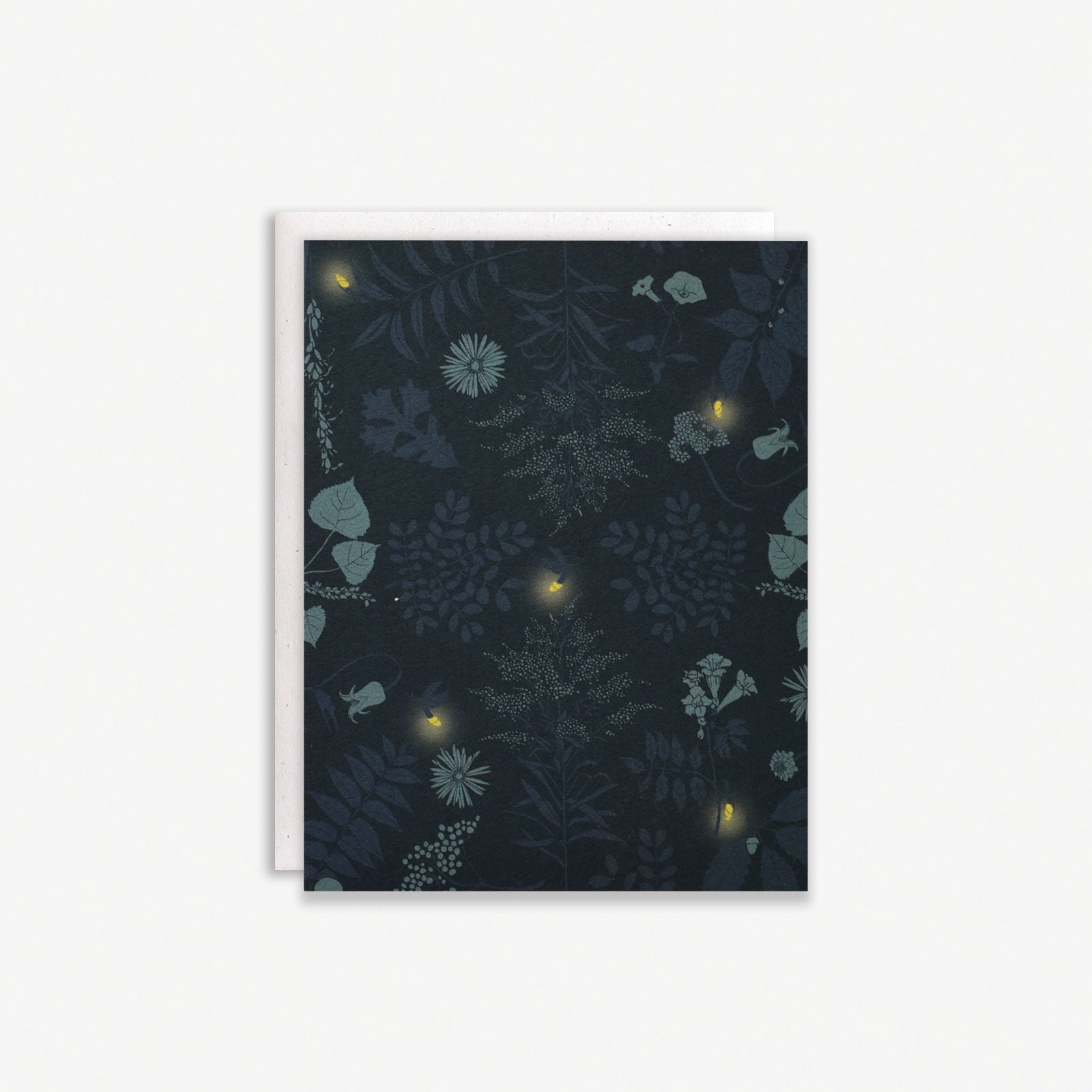 Fireflies Boxed Cards | Recycled Cards + Envelopes – June & December