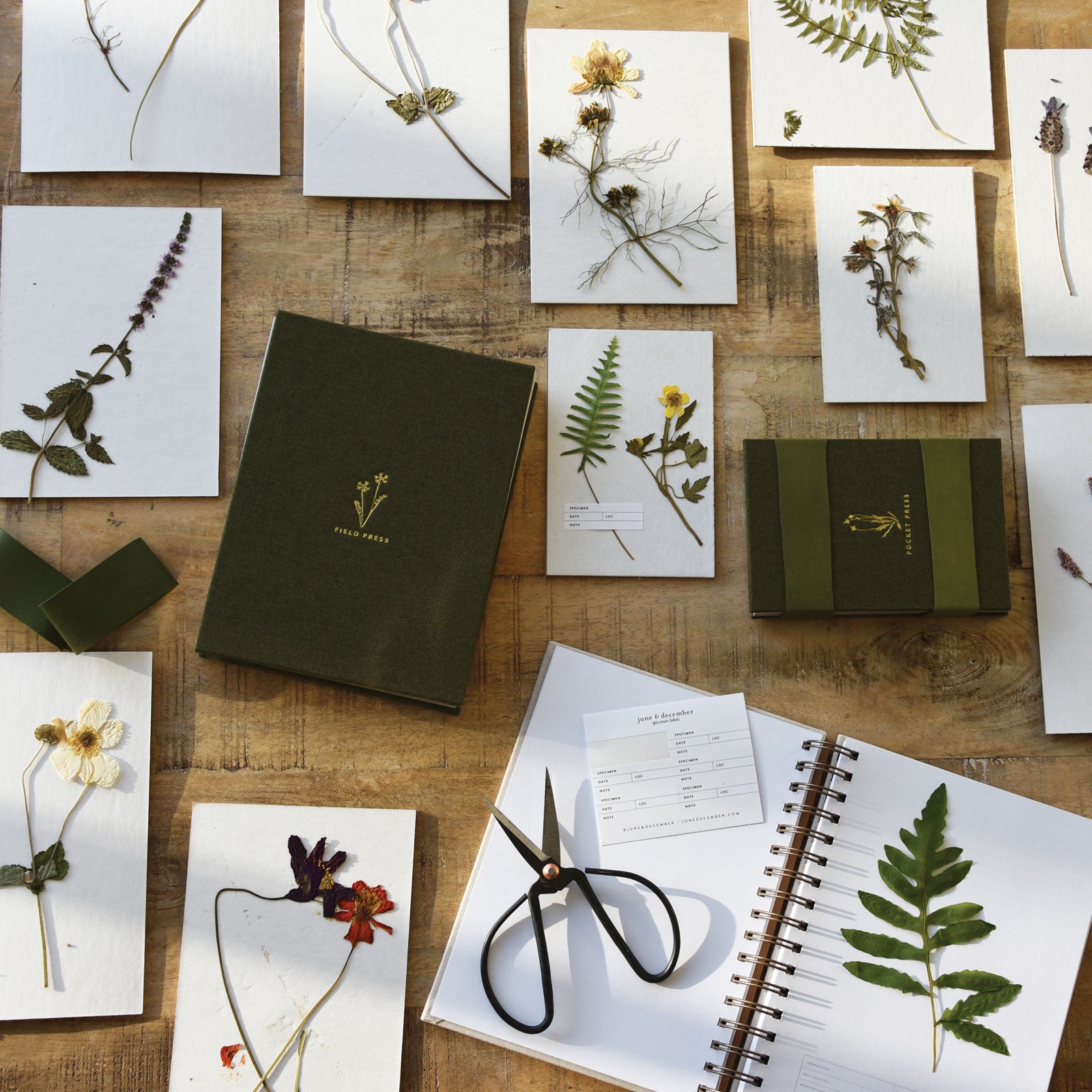 Pocket Flower Press | Reusable Press for Pressing Flowers – June & December