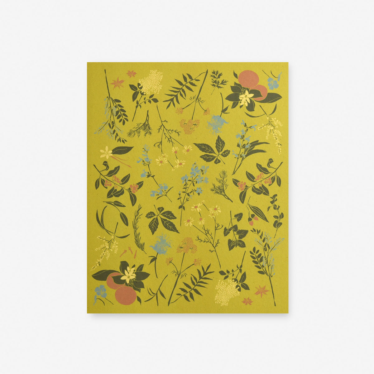 Herbal Tea Art Print | Botanical Art Print 8x10 – June & December