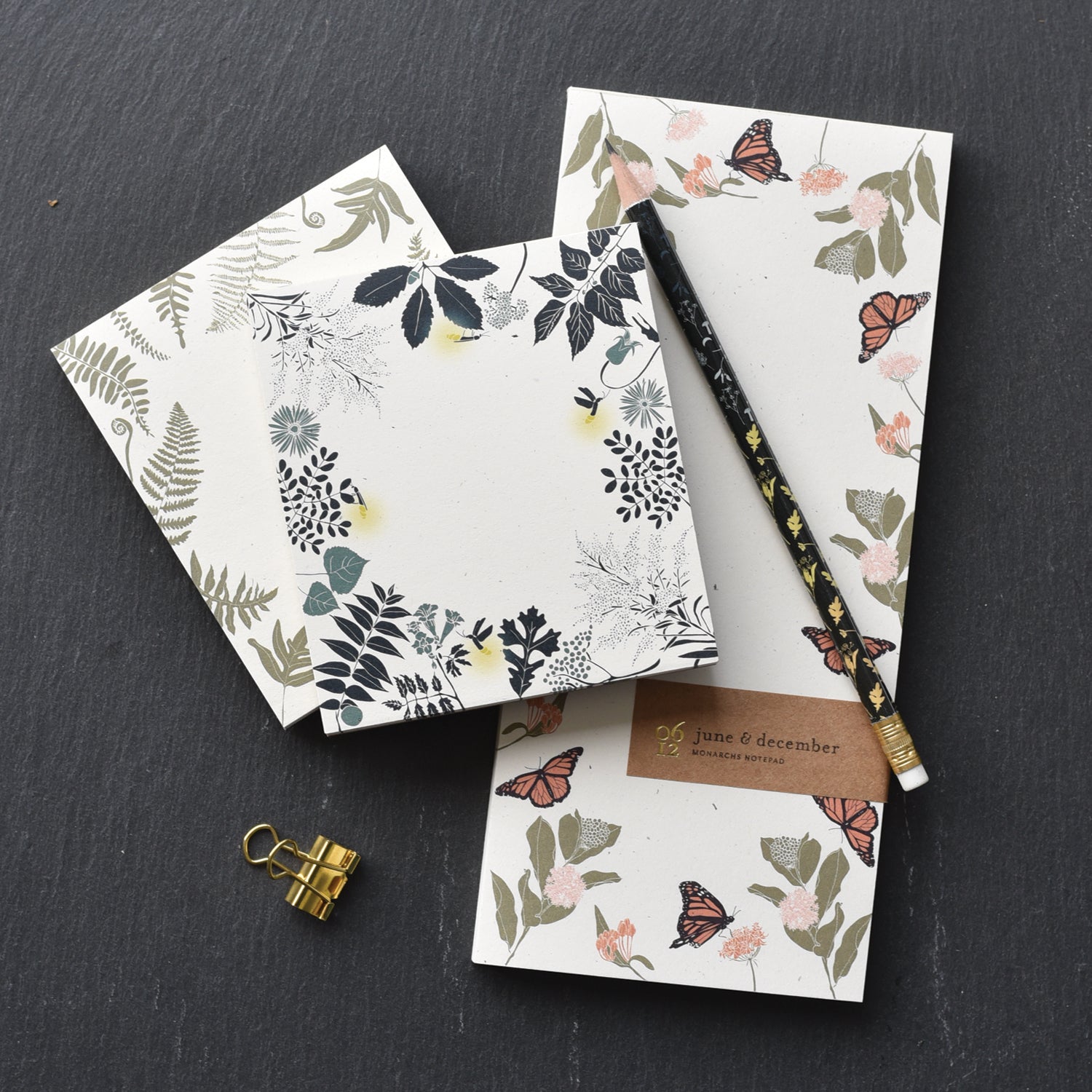 Mini Notes | Nature Connects Us – June & December