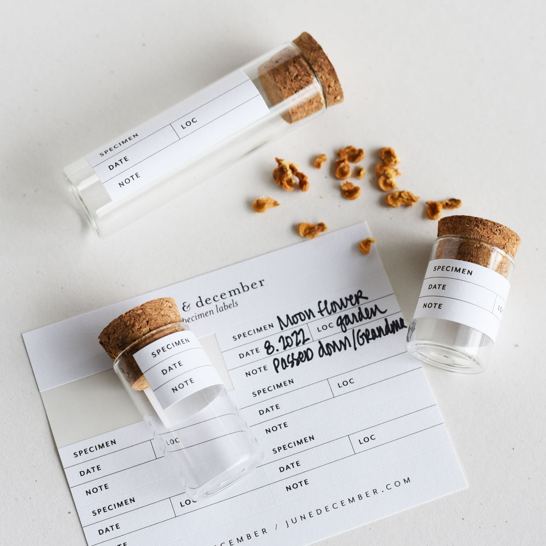 Seed Collecting Kit | Heirloom Garden Seed Saving Kit – June & December