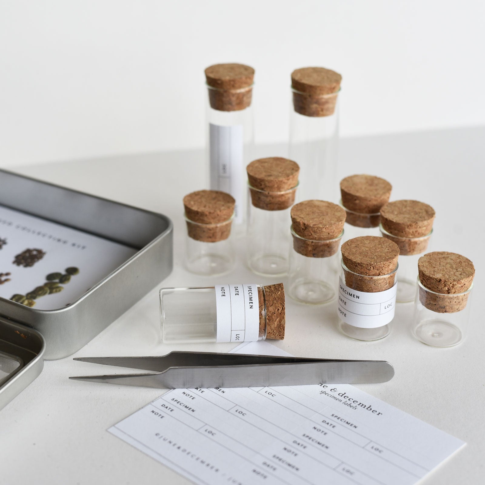 Seed Collecting Kit | Heirloom Garden Seed Saving Kit – June & December