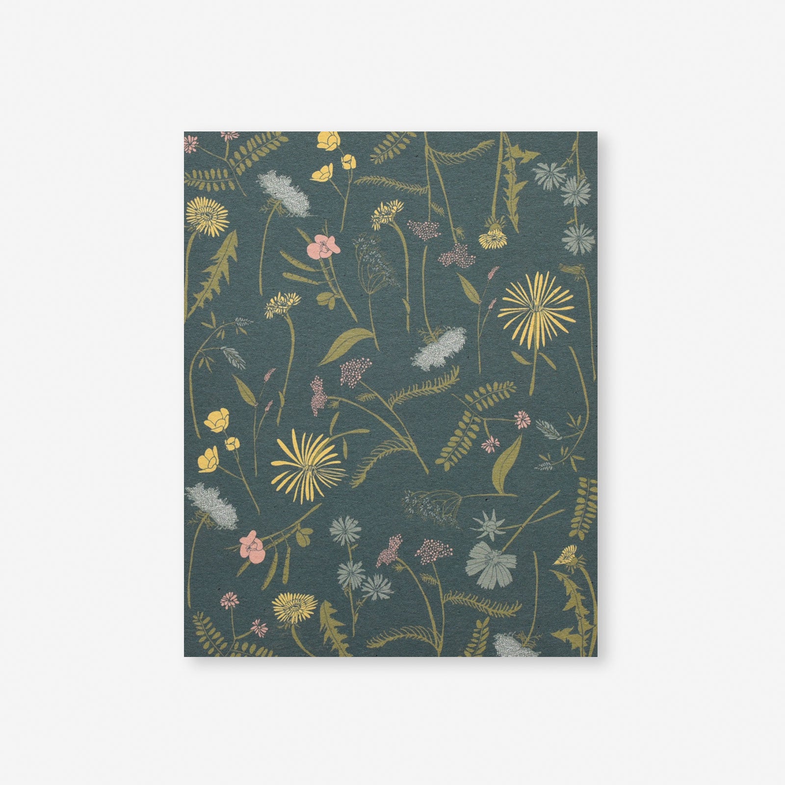 Meadow Art Print | Botanical Wildflower Art Print 8x10 – June & December