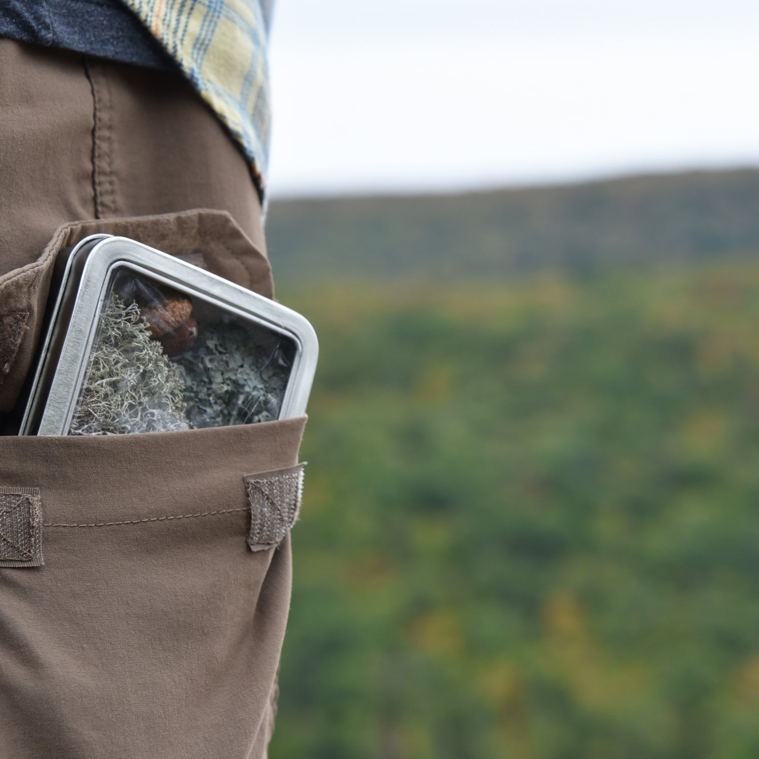 Specimen Collecting Kit | Bug, Rock, Nature, and Forest Kit – June ...